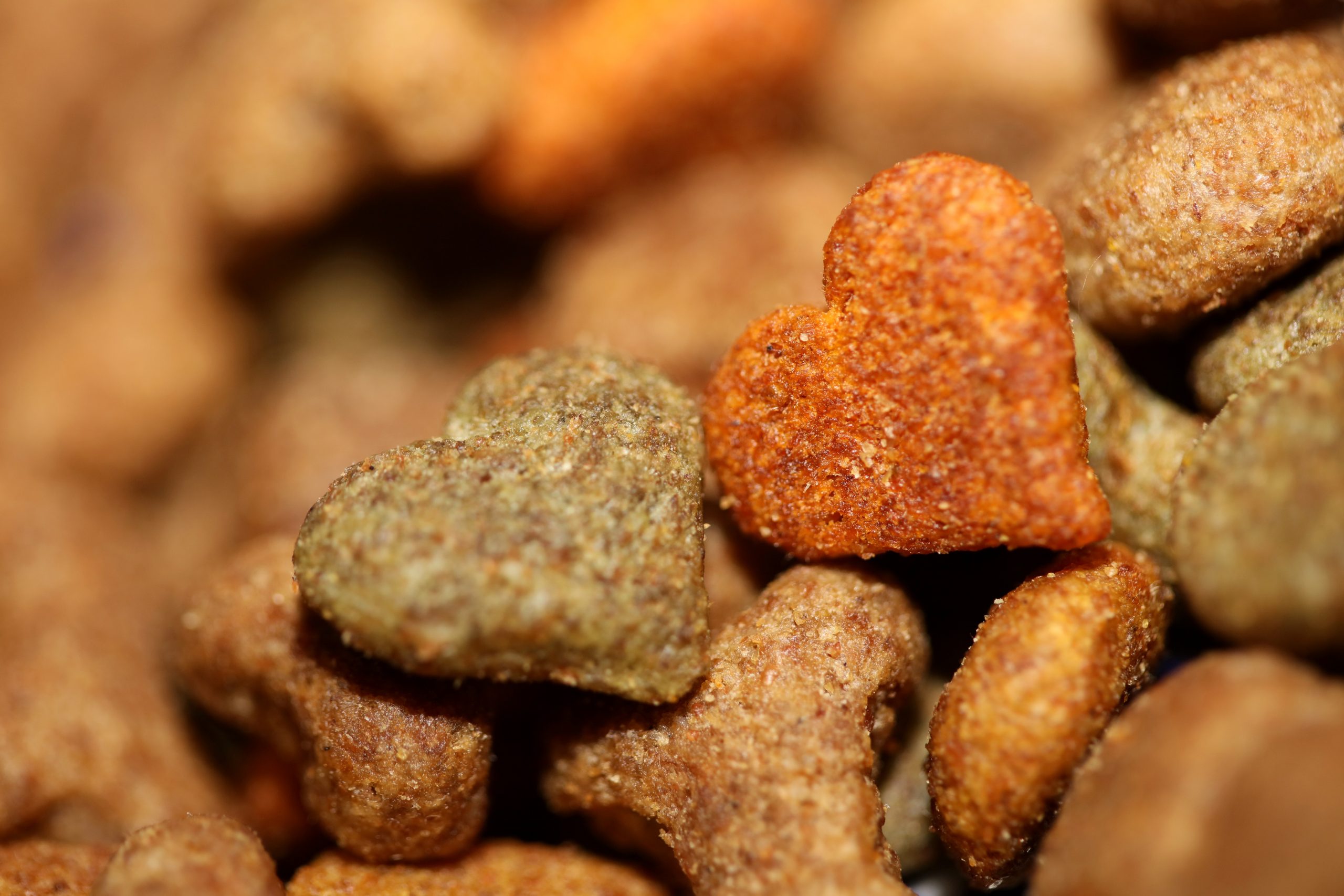 Quality 305 Ingredients for Top-Tier Pet Food Manufacturers